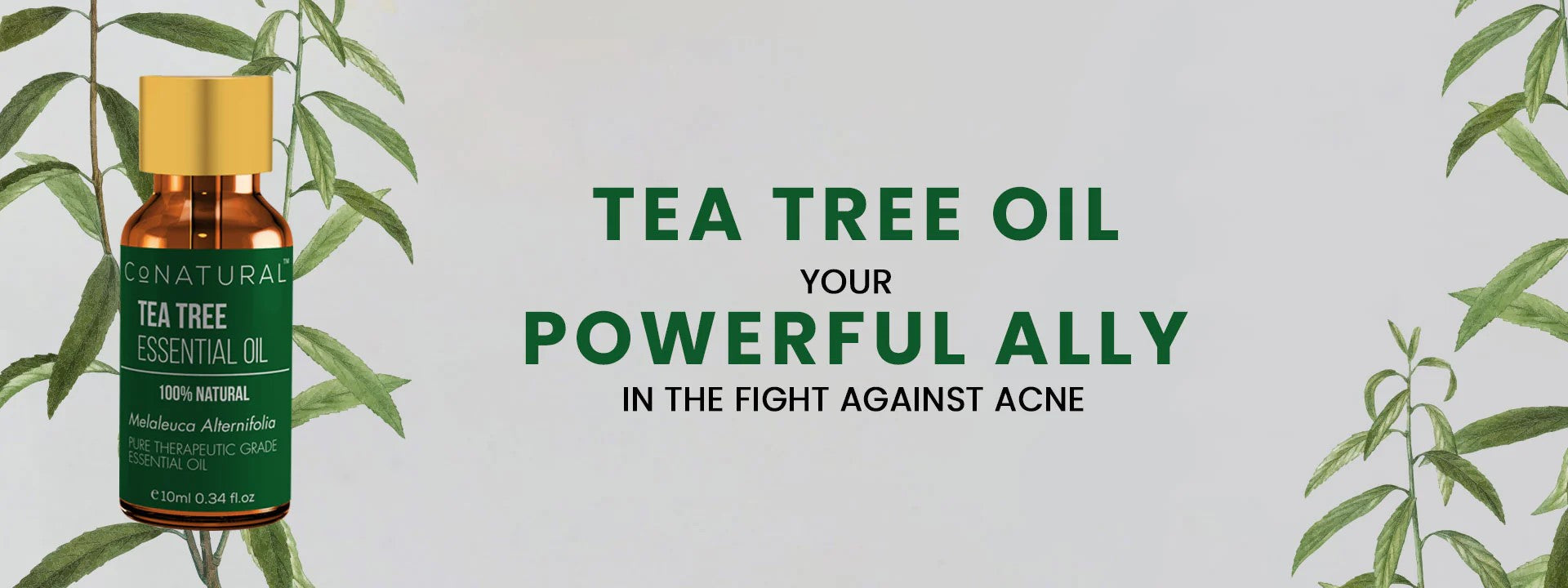 How to Incorporate Tea Tree Oil into Your Skincare Routine? – Conatural