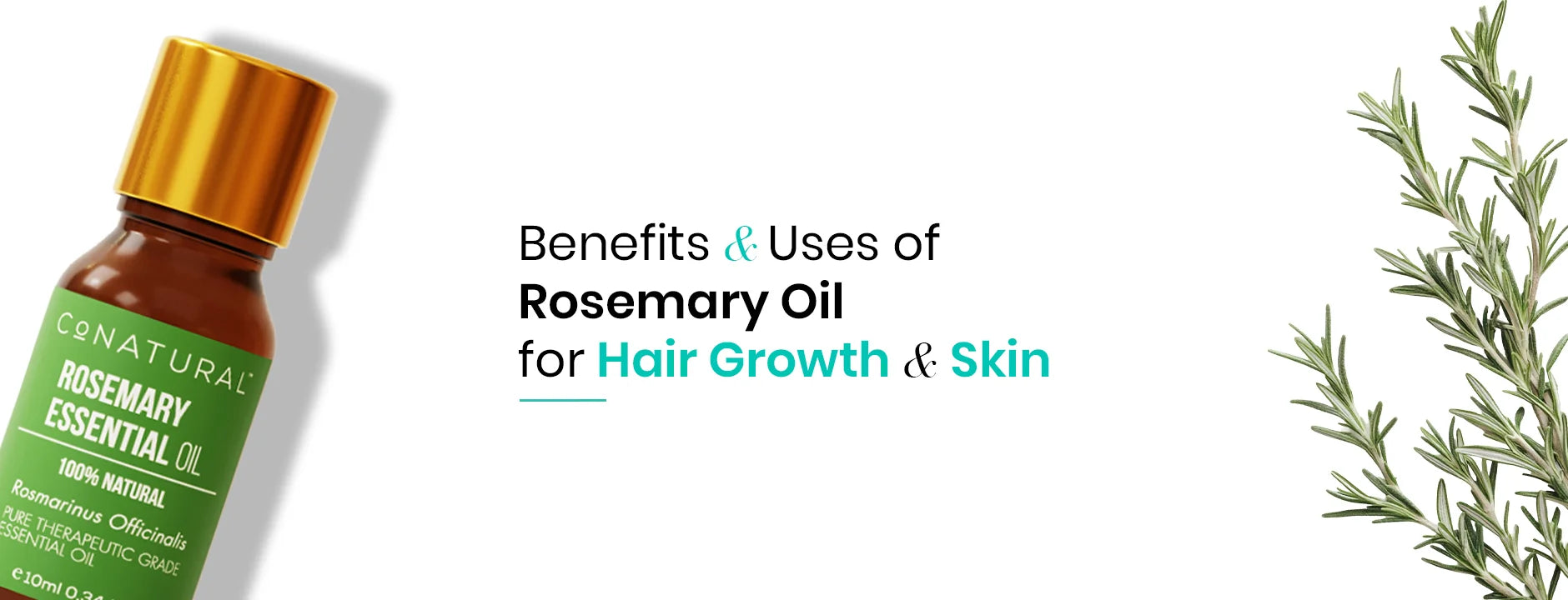 Benefits and Uses of Rosemary Oil for Hair Growth & Skin – Conatural